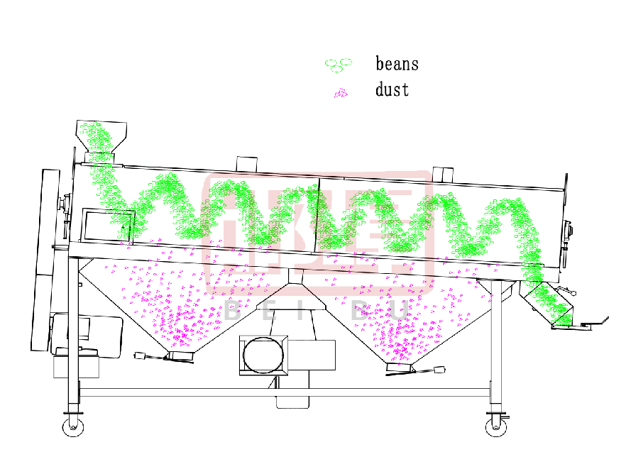 Polishing machines for beans - Hebei Beibu Machinery Technology Co.,LTD